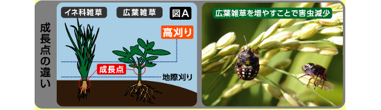 北村製作所 ジズライザーハイ50 ボックスレンチ付 ZAT-H50AA - 円陣 オンラインショップ ENGINE ONLINE SHOP